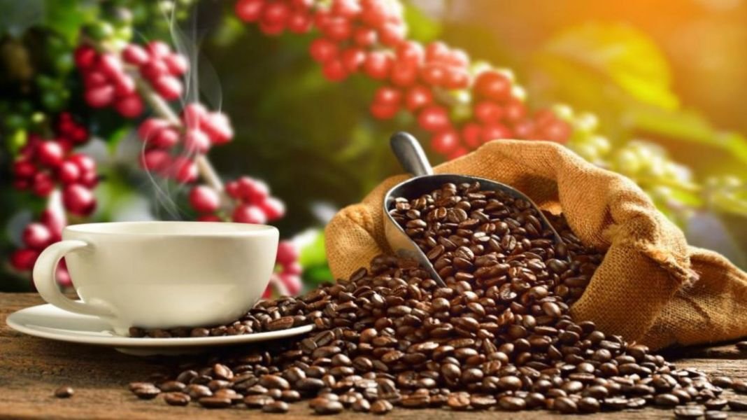 Café de Villa Rica: Descubre el Mejor Café del Perú y su Historia Única ...